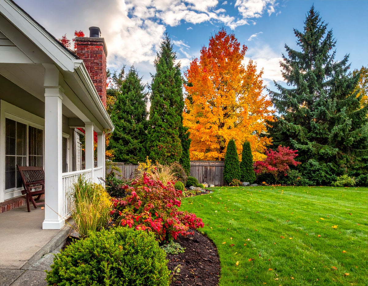 Fall Tree Pre-Order Event – Rhoads Garden Center