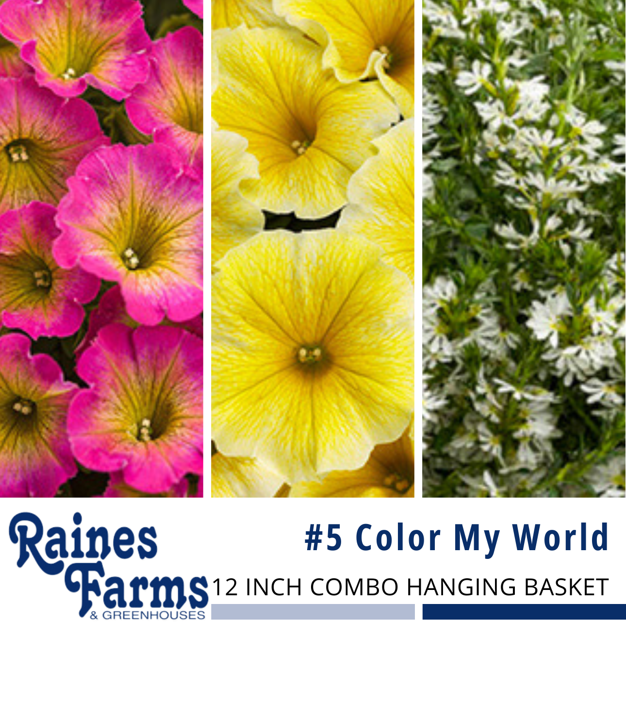 Mixed Combination Hanging Baskets – Rhoads Garden Center