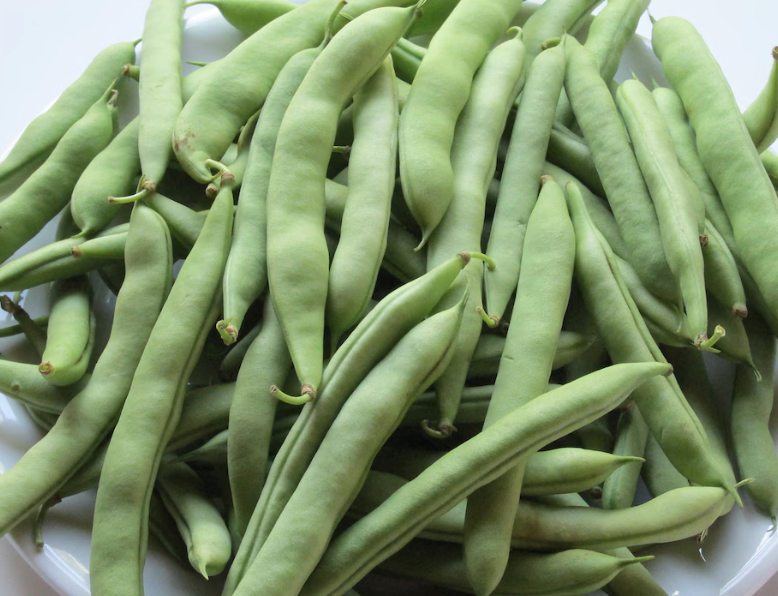 Half Runner Green Beans – Rhoads Garden Center
